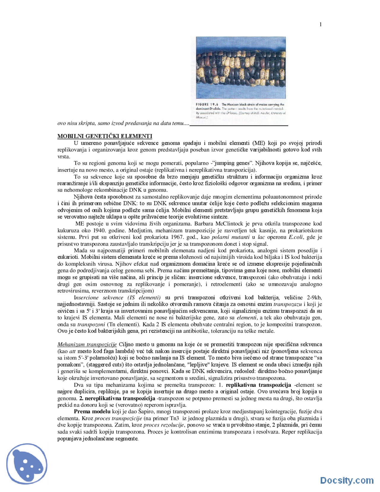 Mobilni Elementi Skripta Principi Genetike Rezime Predlog Genetika