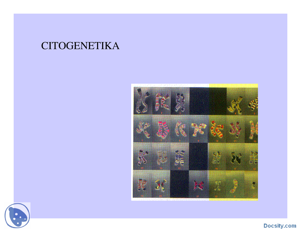 Citogenetika-slajdovi-Principi Genetike Part1 | Slajdovi' predlog Genetika - Docsity