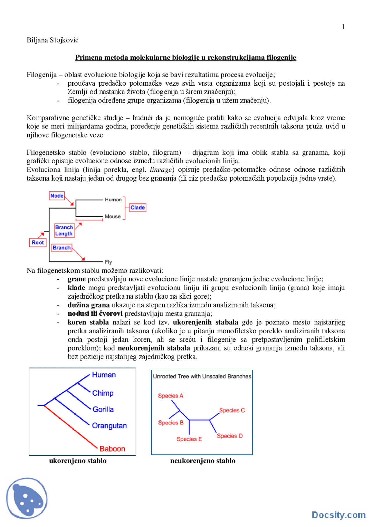 Rekonstrukcija filogenije-Skripta-Molekularna biologija | Rezime ...