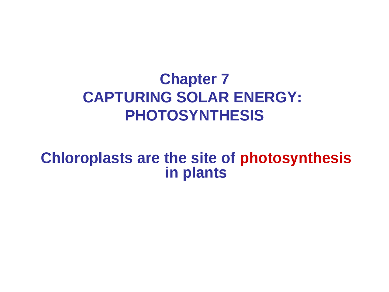 Capturing Solar Energy - Photosynthesis - General Biology | BIOL 1001 ...
