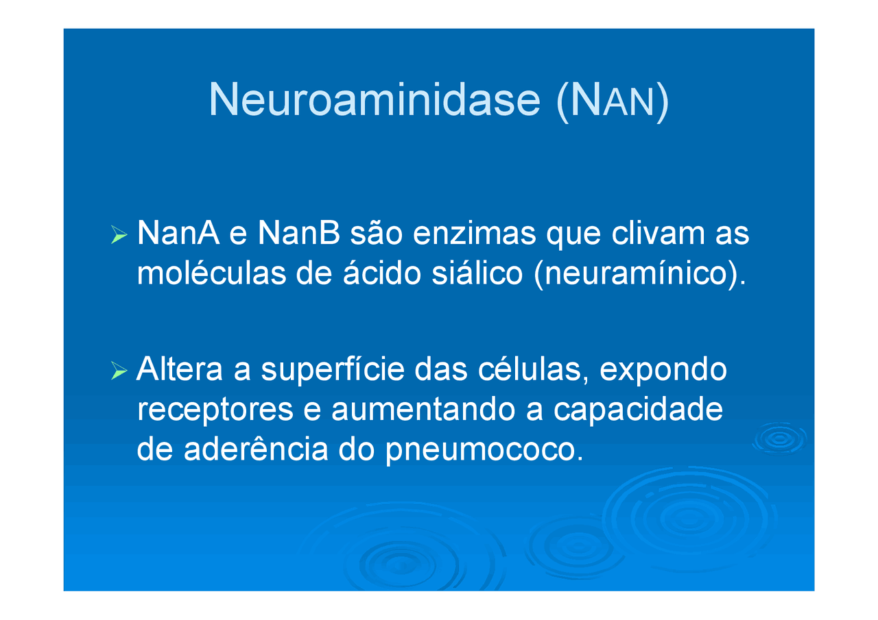 Streptococcus Pneumoniae Apostilas Biologia Parte2 Docsity