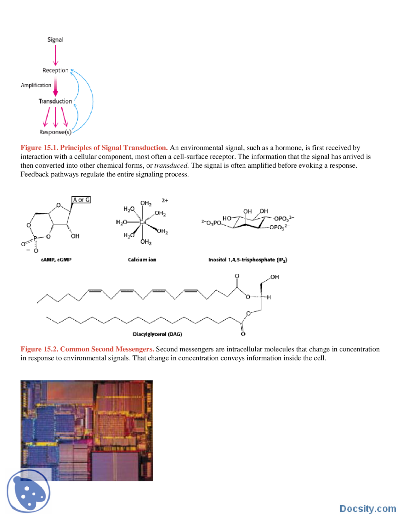 Biochemistry-Skripta-Biohemija-Medicina (7) | Rezime' predlog Biohemija ...