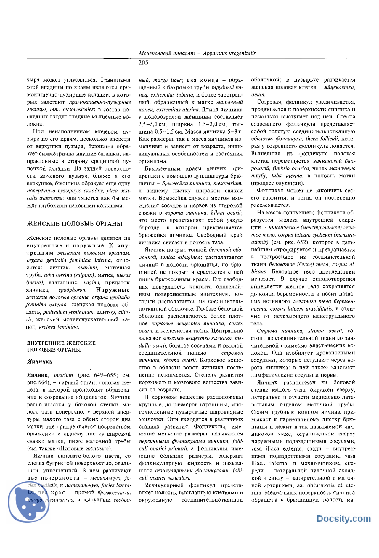 Ruski Atlas Skripta Anatomija Medicina 2 11 Rezime Predlog
