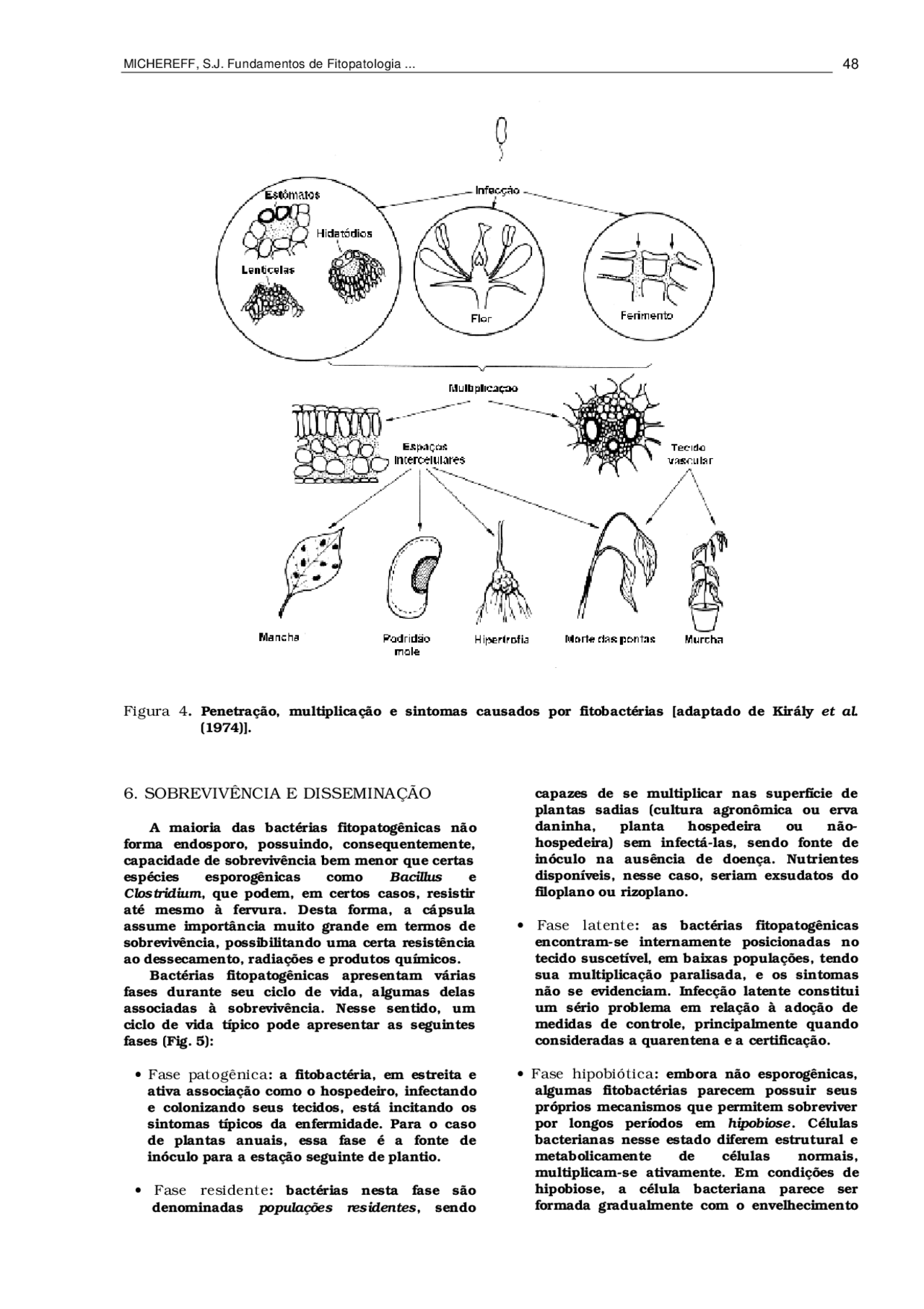 Fundamentos De Fitopatologia Parte2 Docsity