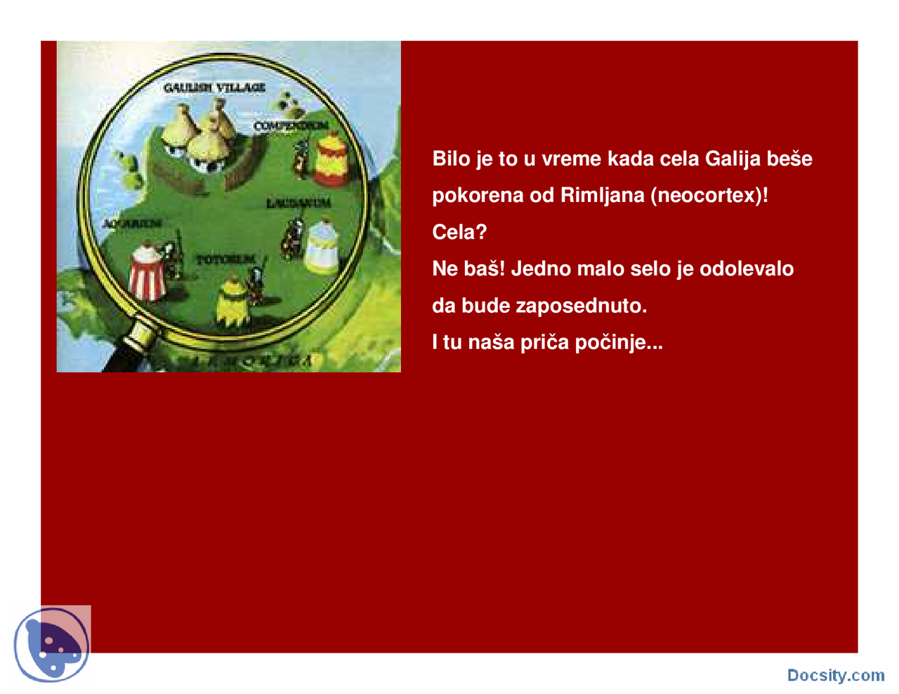 Limbicki sistem-Slajdovi-Anatomija-Medicina 1 | Slajdovi' predlog ...