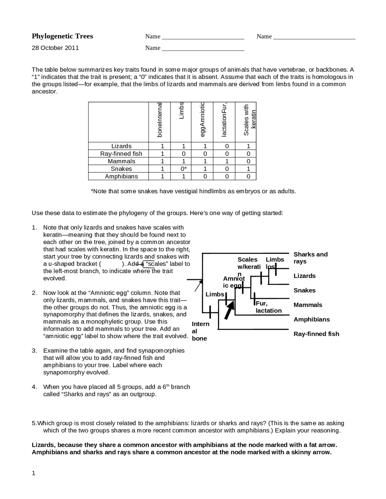 10 Problems On Phylogenetic Tree Introduction To Biology Notes