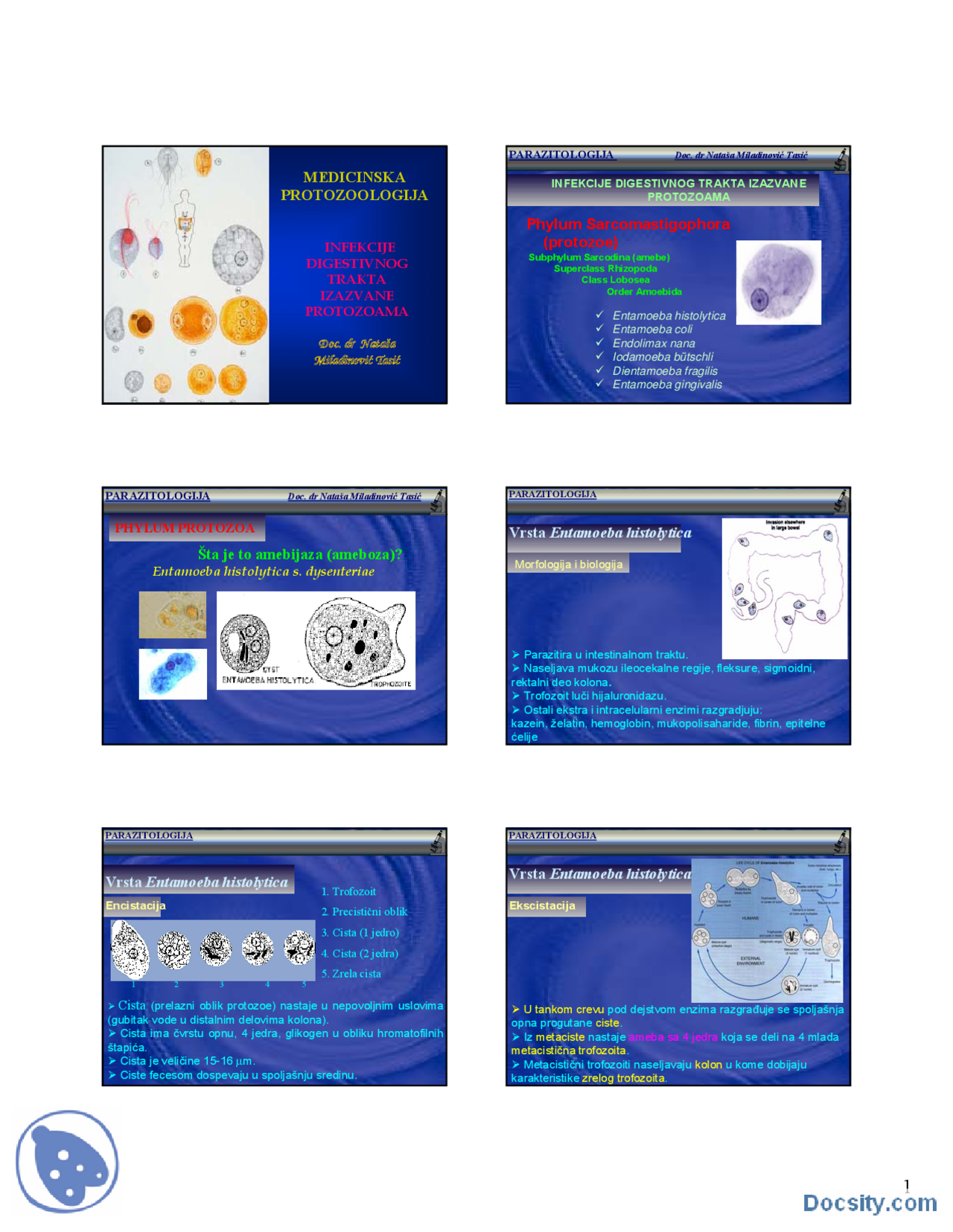 PARAZITOLOGIJA-Slajdovi-Mikrobiologija-Medicina (1) | Slajdovi' predlog ...
