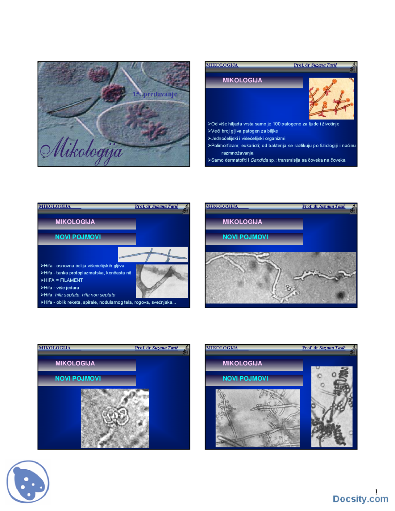 Mikologija-Slajdovi-Mikrobiologija-Medicina (1) | Slajdovi' predlog ...
