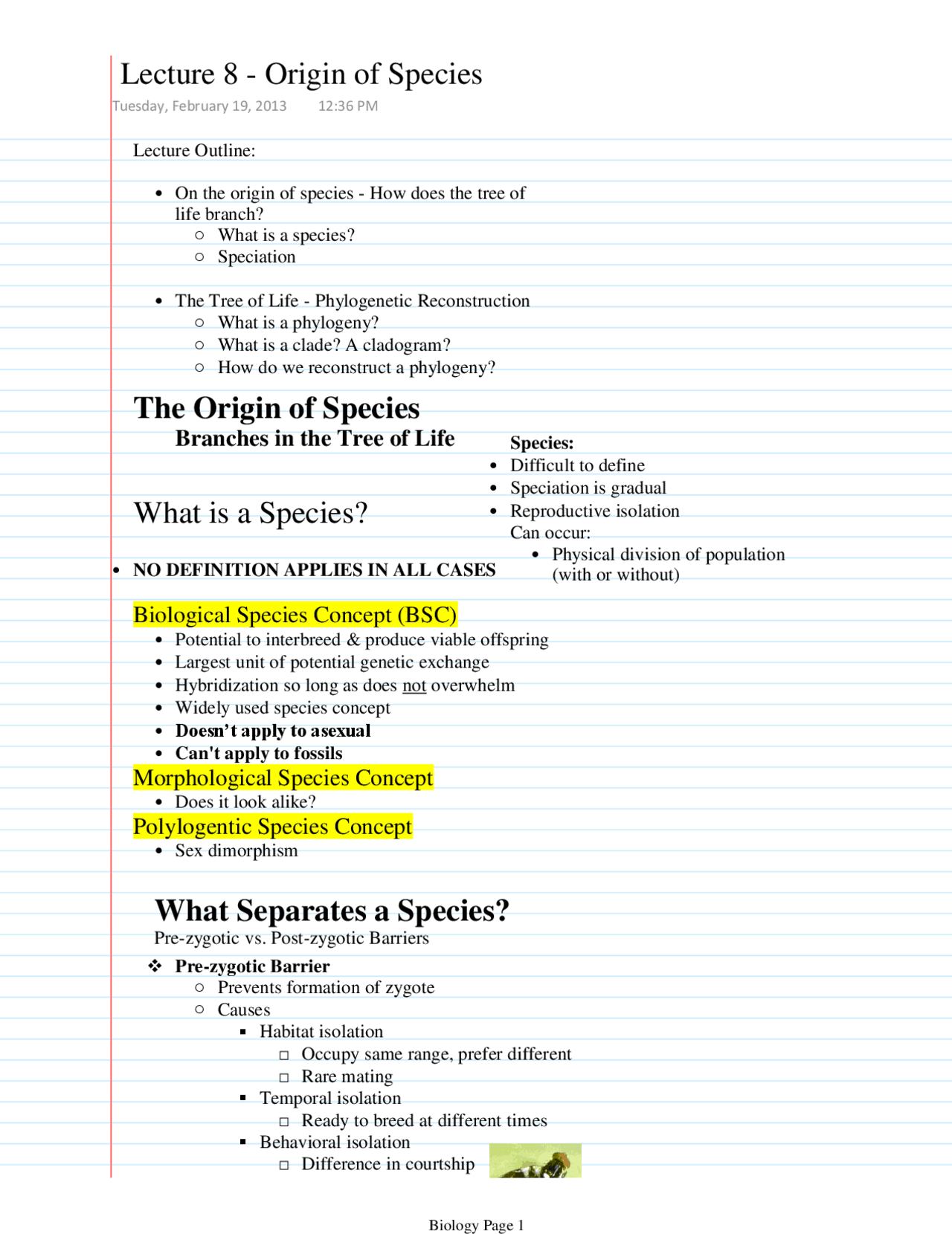 Origin of Species - Principle of Biology II | BSCI 106 - Docsity