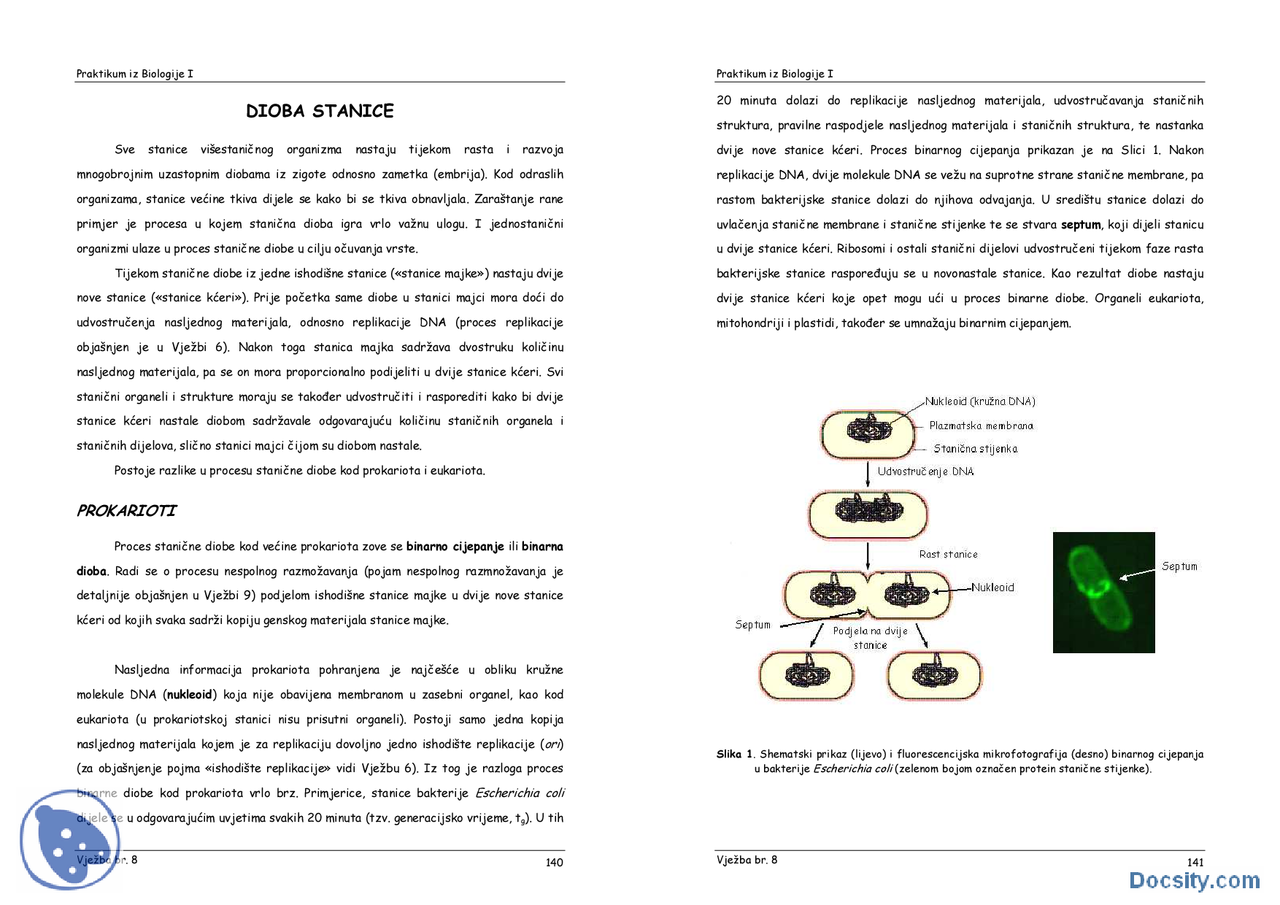DIOBA STANICE-Vezbe-Biologija 1-Biologija PMF | Vežbe' predlog ...