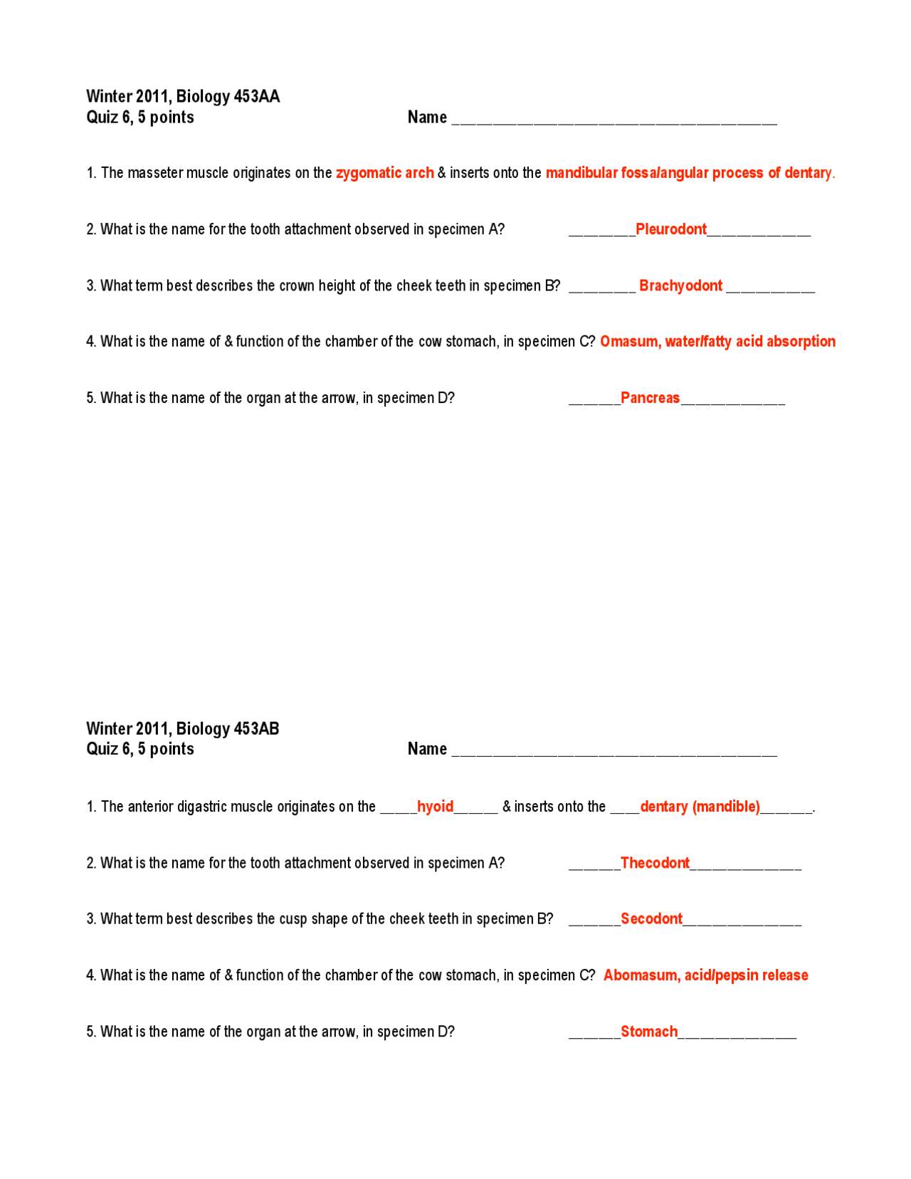 Brachyodont - Comparative Vertebrate Anatomy - Quiz - Docsity