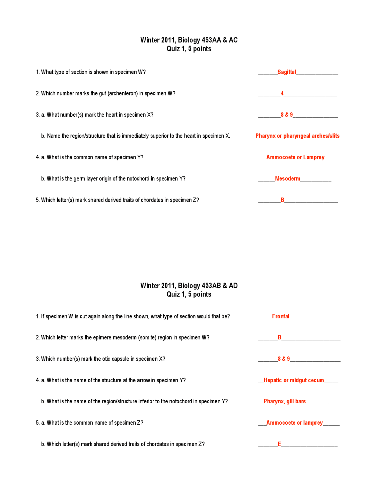 Sagittal Comparative Vertebrate Anatomy Quiz Docsity