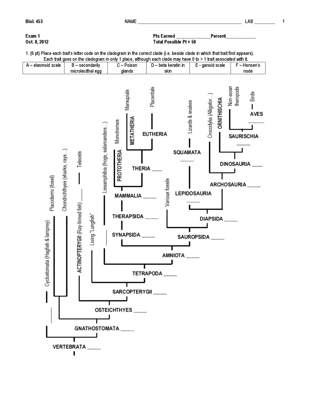Chordates - Comparative Vertebrate Anatomy - Exam - Docsity