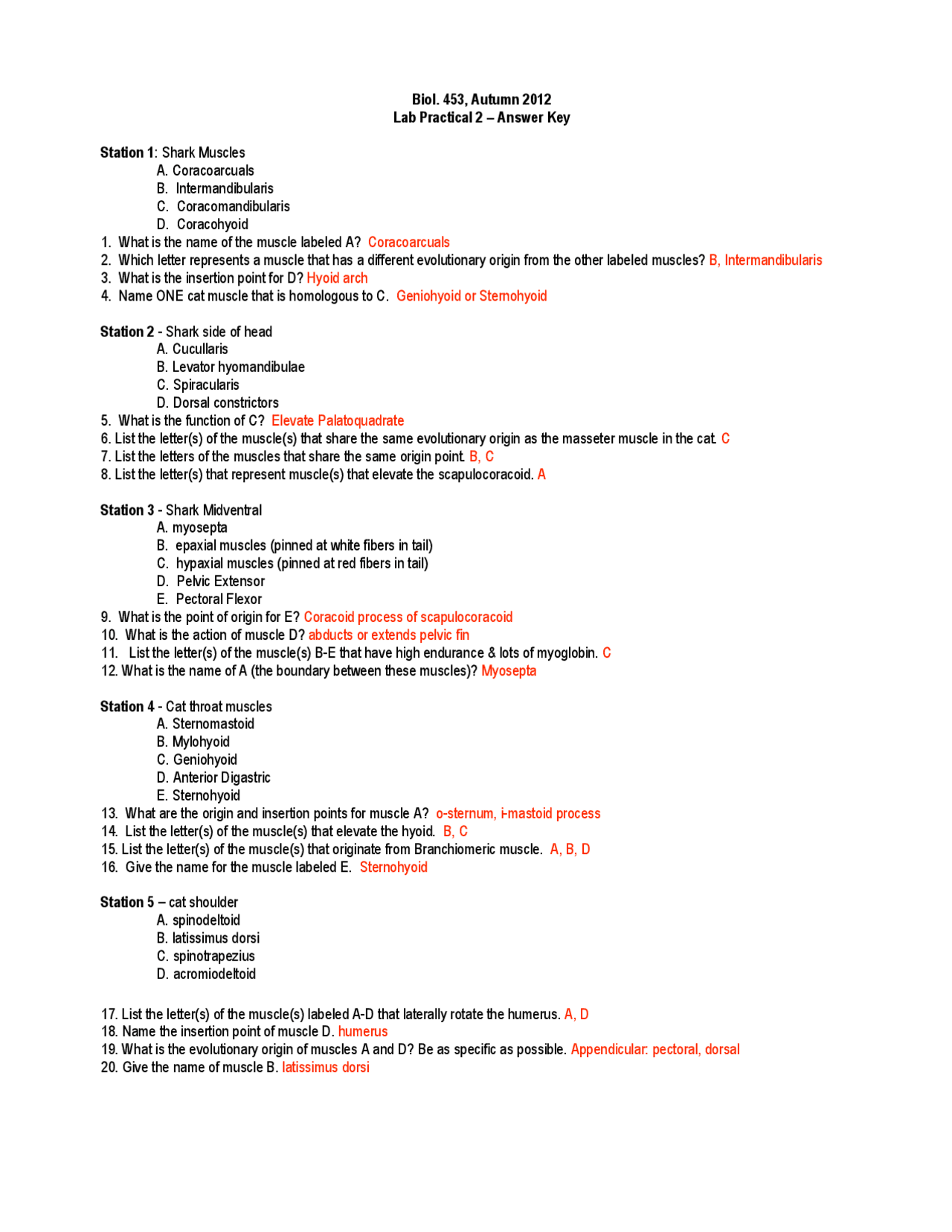 Intermandibularis - Comparative Vertebrate Anatomy - Practical Key ...