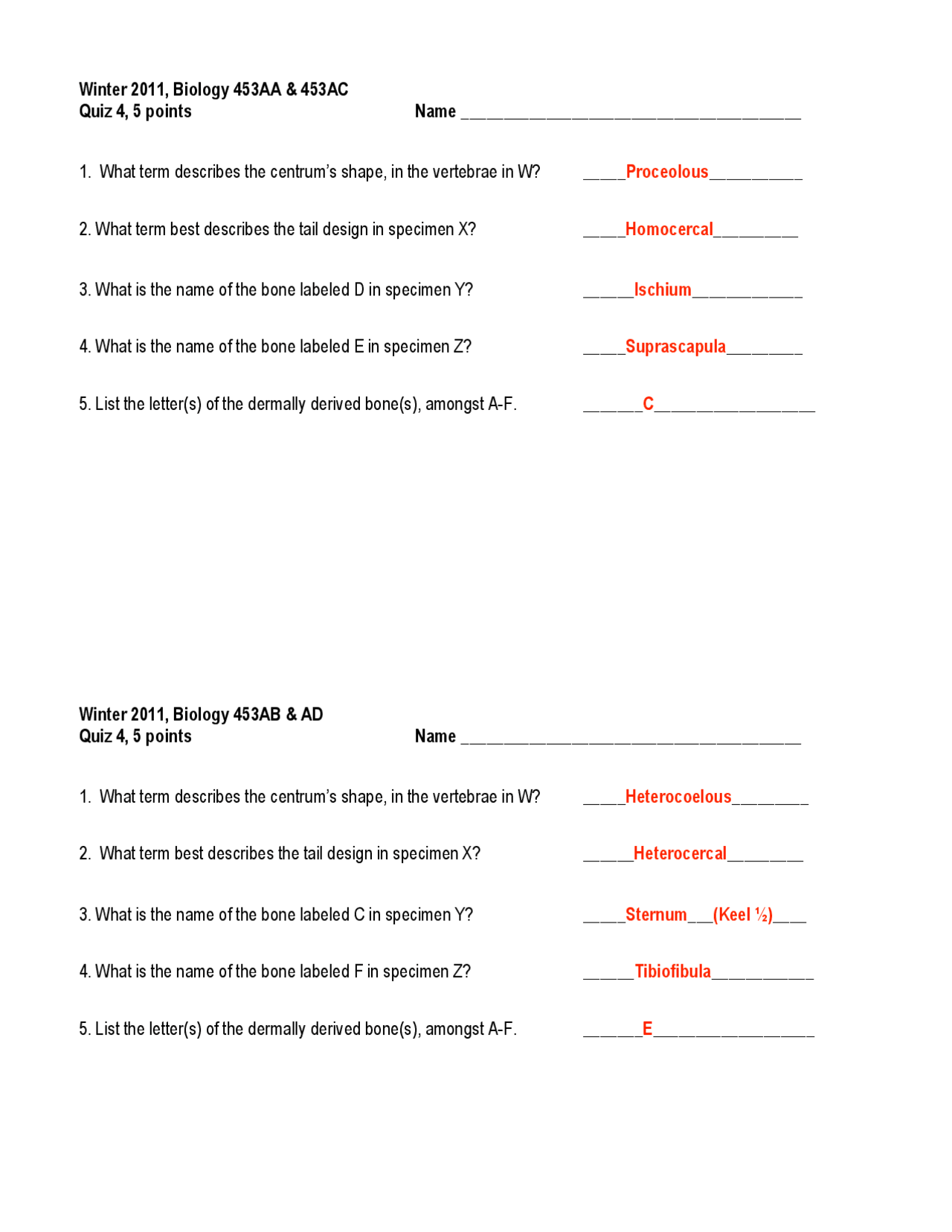 Ischium Comparative Vertebrate Anatomy Quiz Docsity
