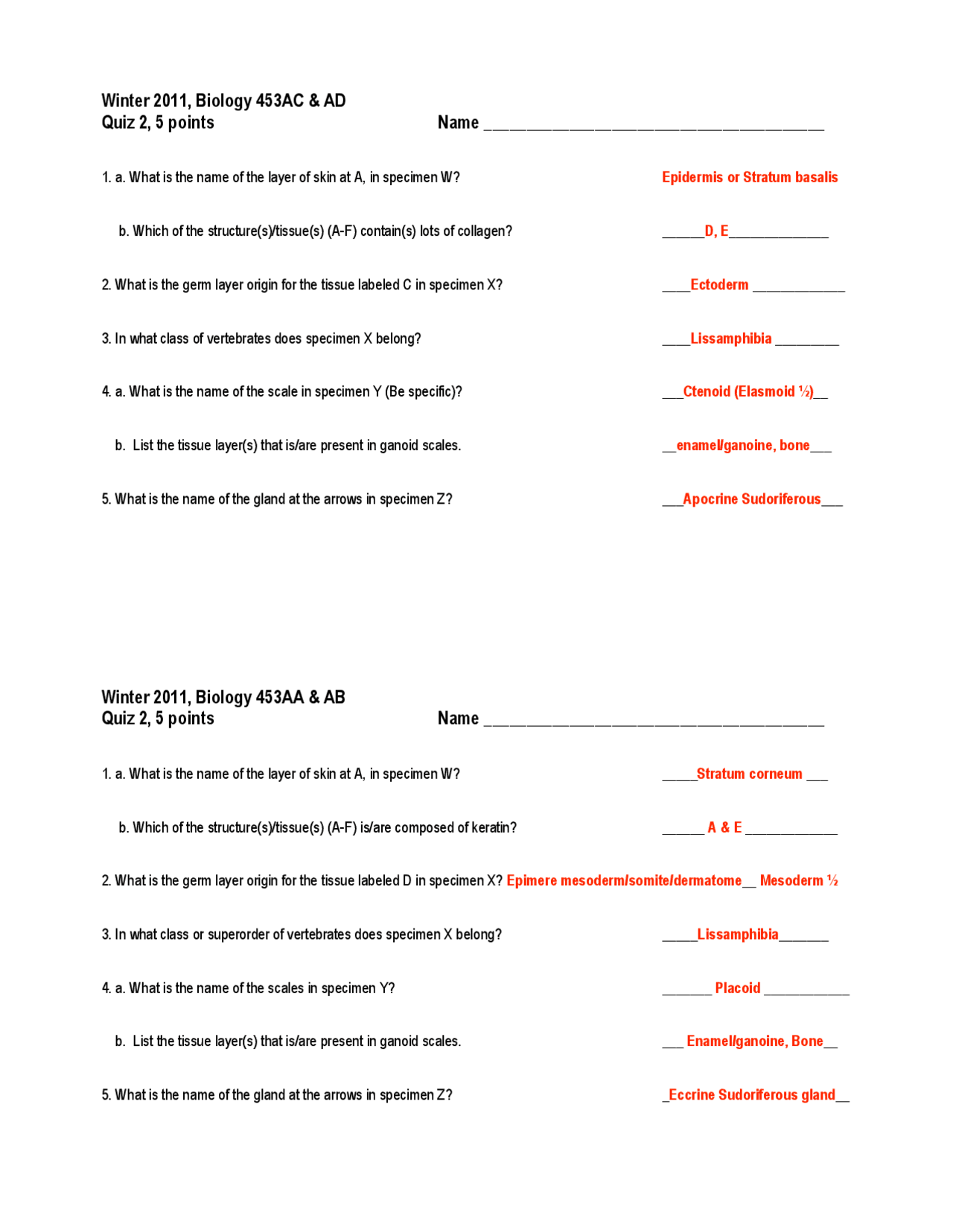 Lissamphibia Comparative Vertebrate Anatomy Quiz Docsity