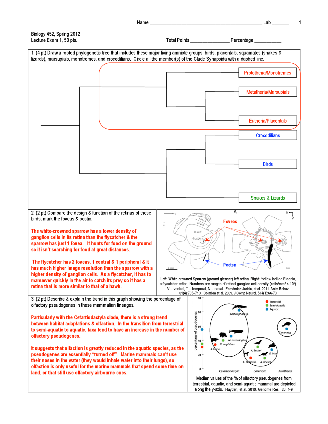 Biology 452 Lab Exam 1: Comparing Animal Adaptations and Ecological ...