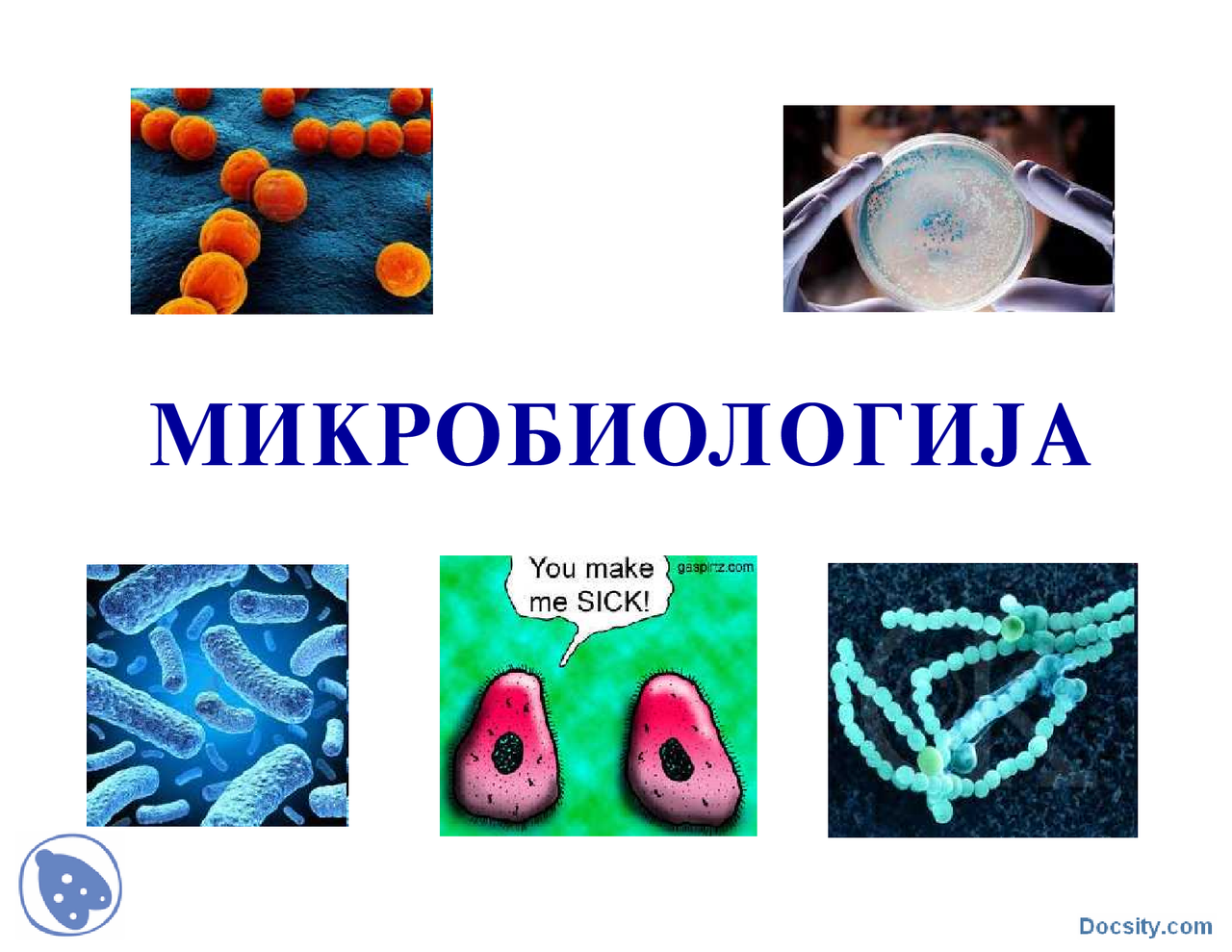 Mikrobiologija-Vezbe-Farmaceutska mikrobiologija-Farmacija | Vežbe ...