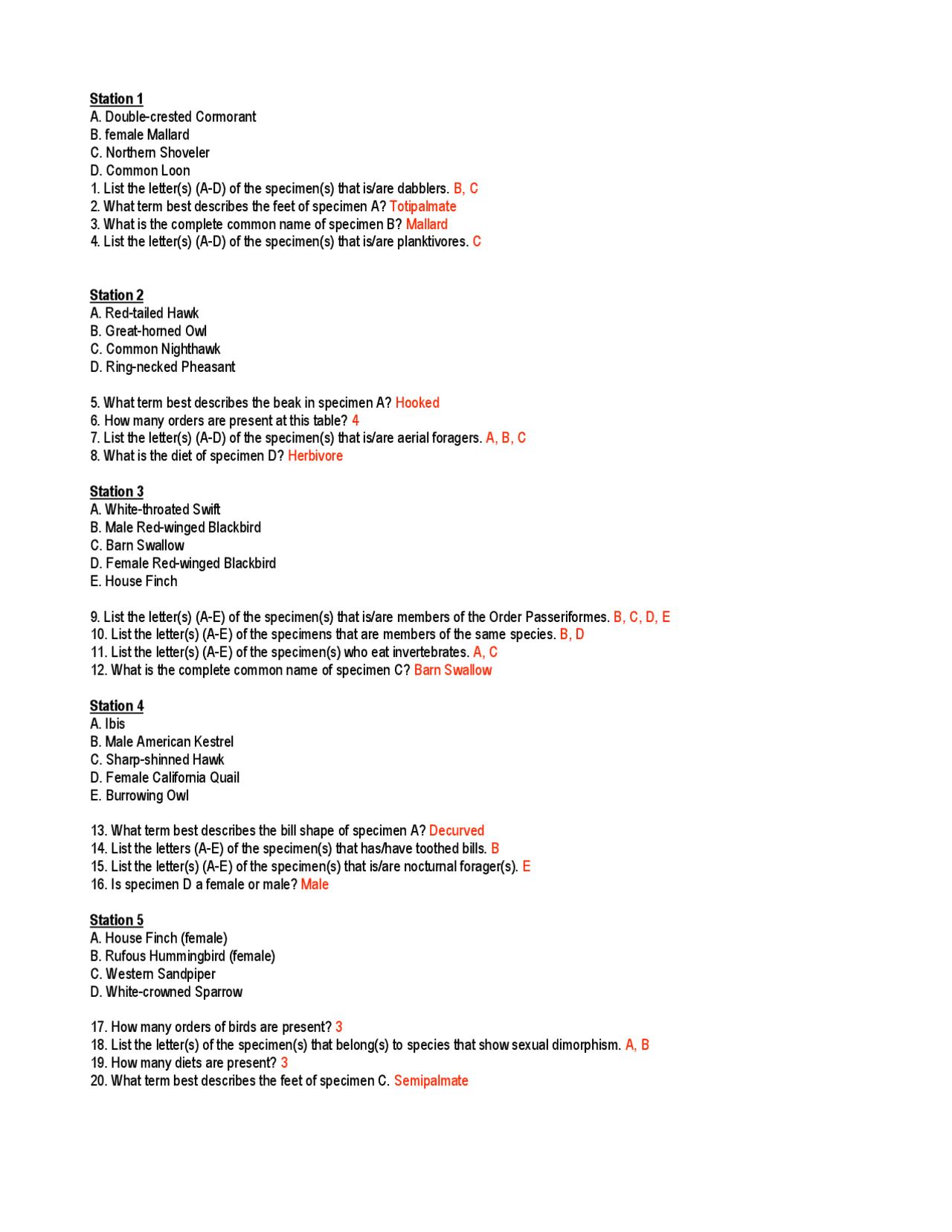 Totipalmate - Vertebrate Biology - Practical | Exams Biology | Docsity