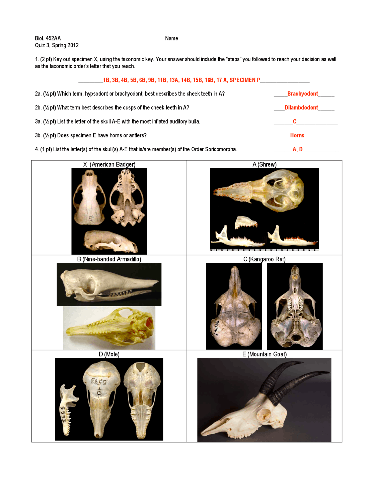 Quiz 3 in Biology 452, Spring 2012: Taxonomic Key and Skull ...