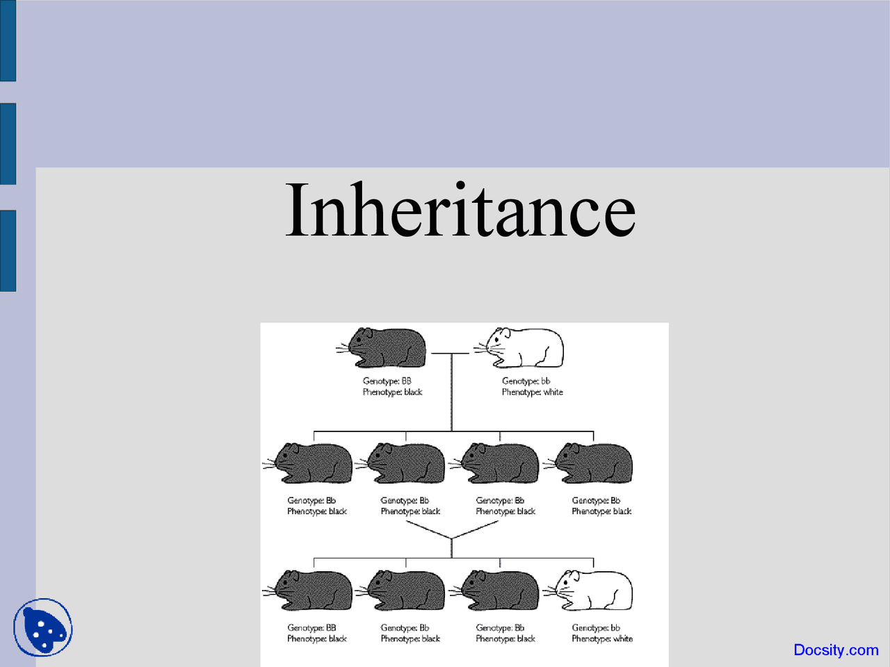 Inheritance Introduduction To Jave Programming Lecture Slides Docsity 3227