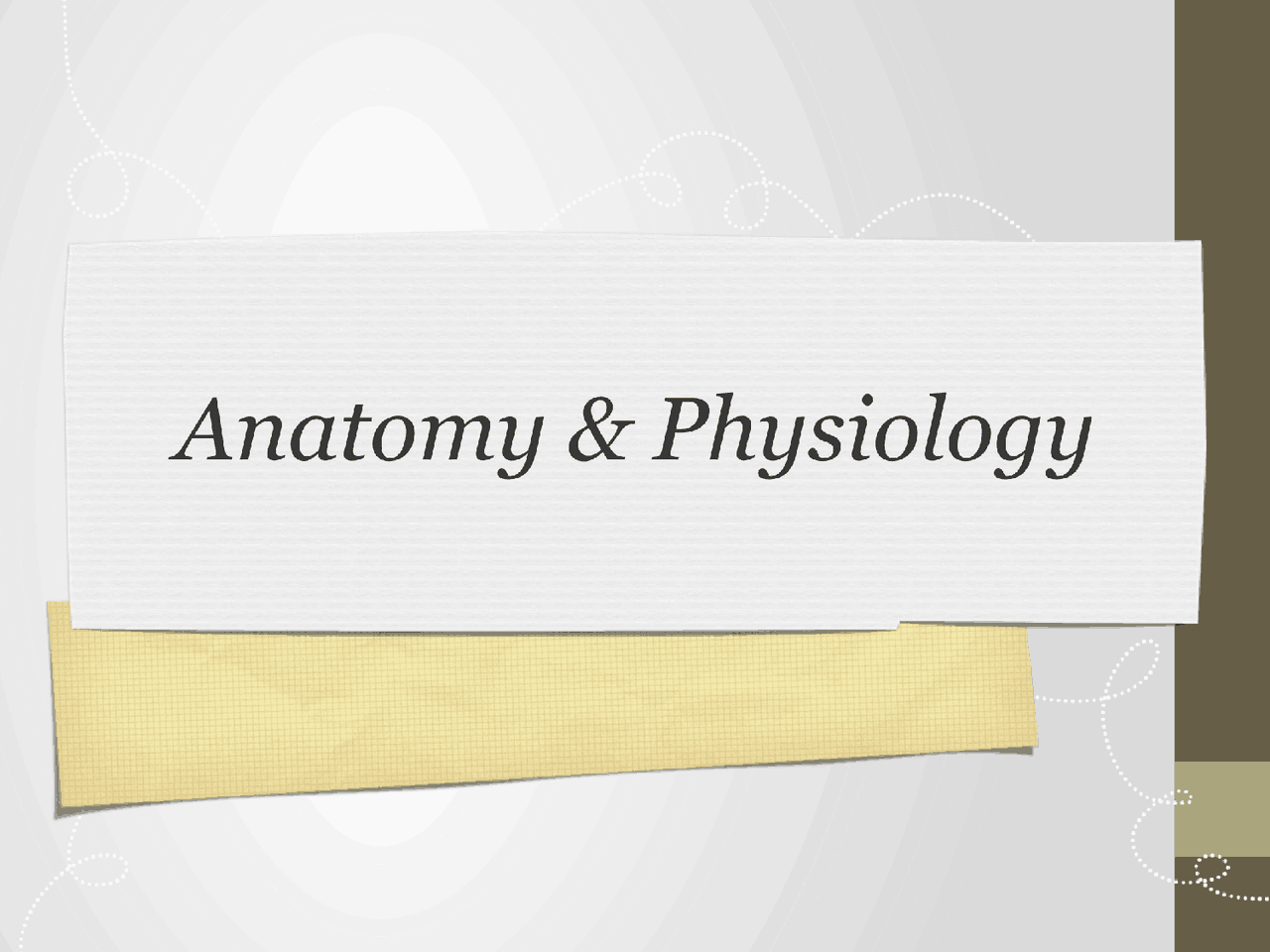 Anatomy Of Speech Production Lecture Slides Comd 2081 Docsity