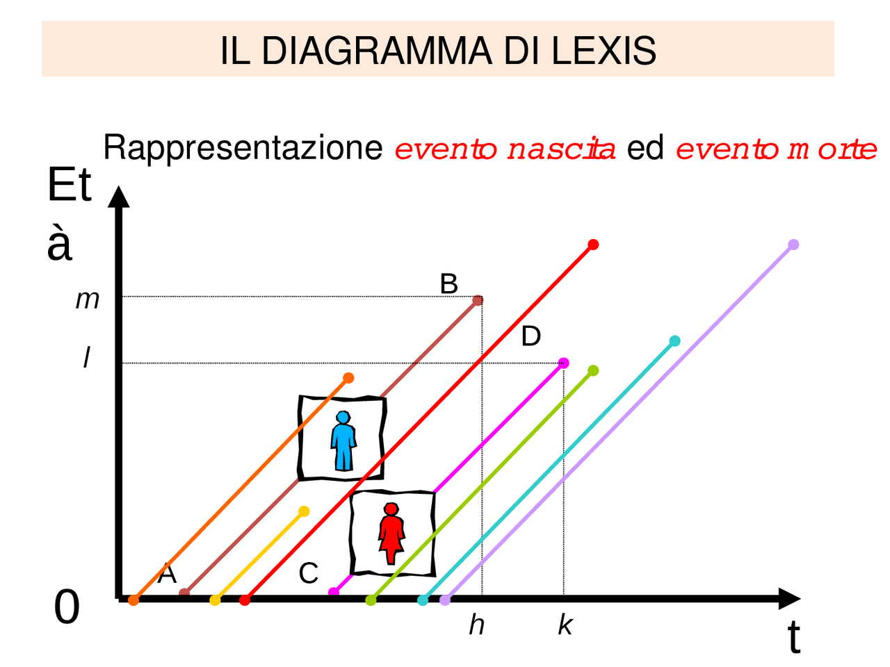Diagramma di Lexis - Appunti - Demografia - Docsity