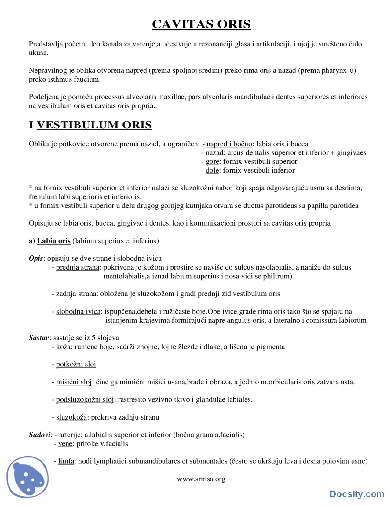 CAVITAS ORIS-Skripta-Anatomija-Medicina | Rezime' predlog Anatomija ...