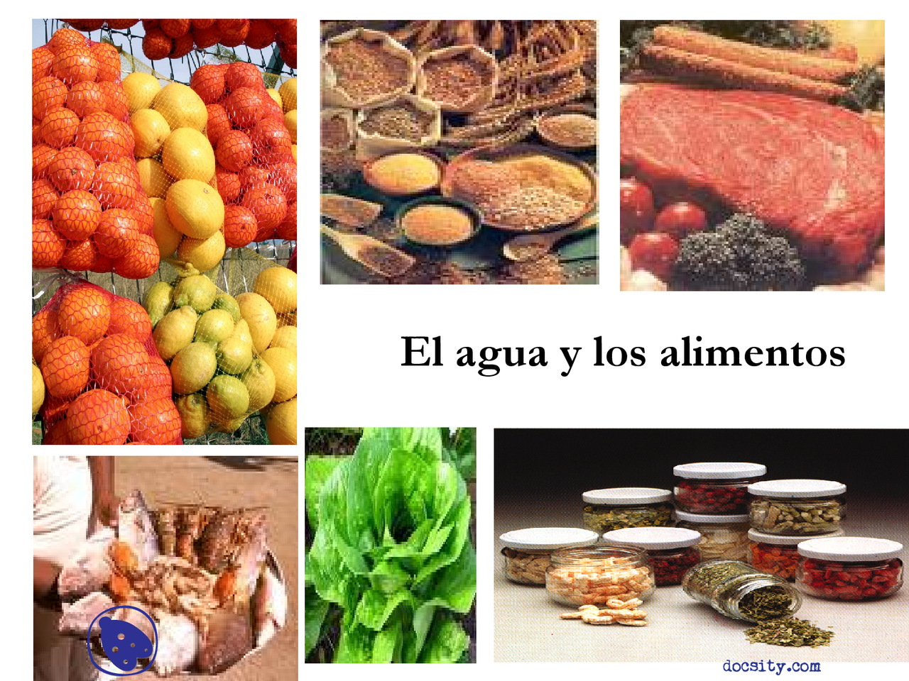 El agua y los alimentos - Apuntes - Química y Bioquímica de los ...