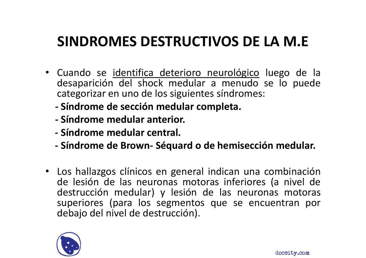 Médula Espinal Apuntes Neurología Parte3 Docsity