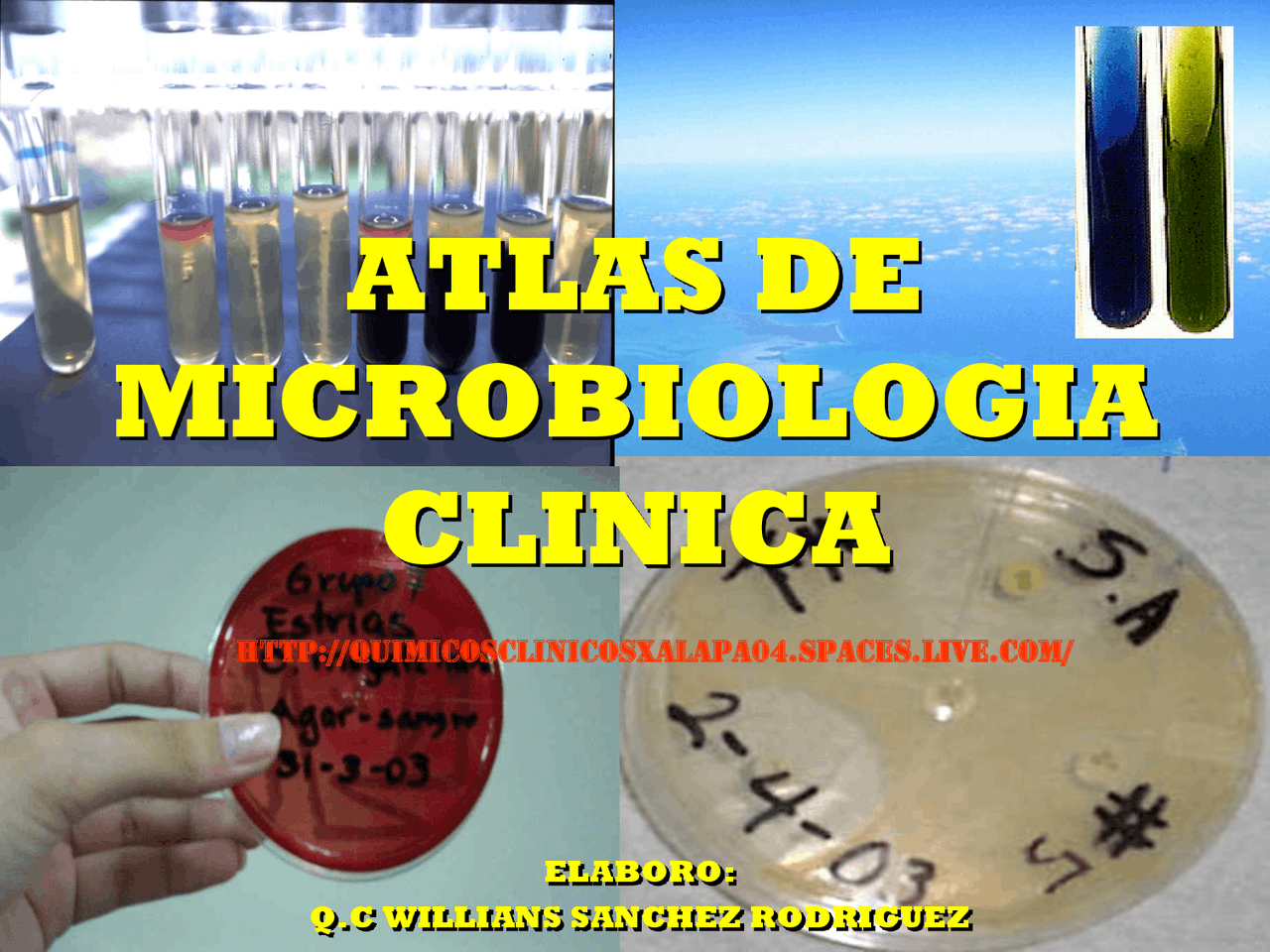 Atlas de Microbiologia Clínica - Apostilas - Biologia Part1 | Notas de ...