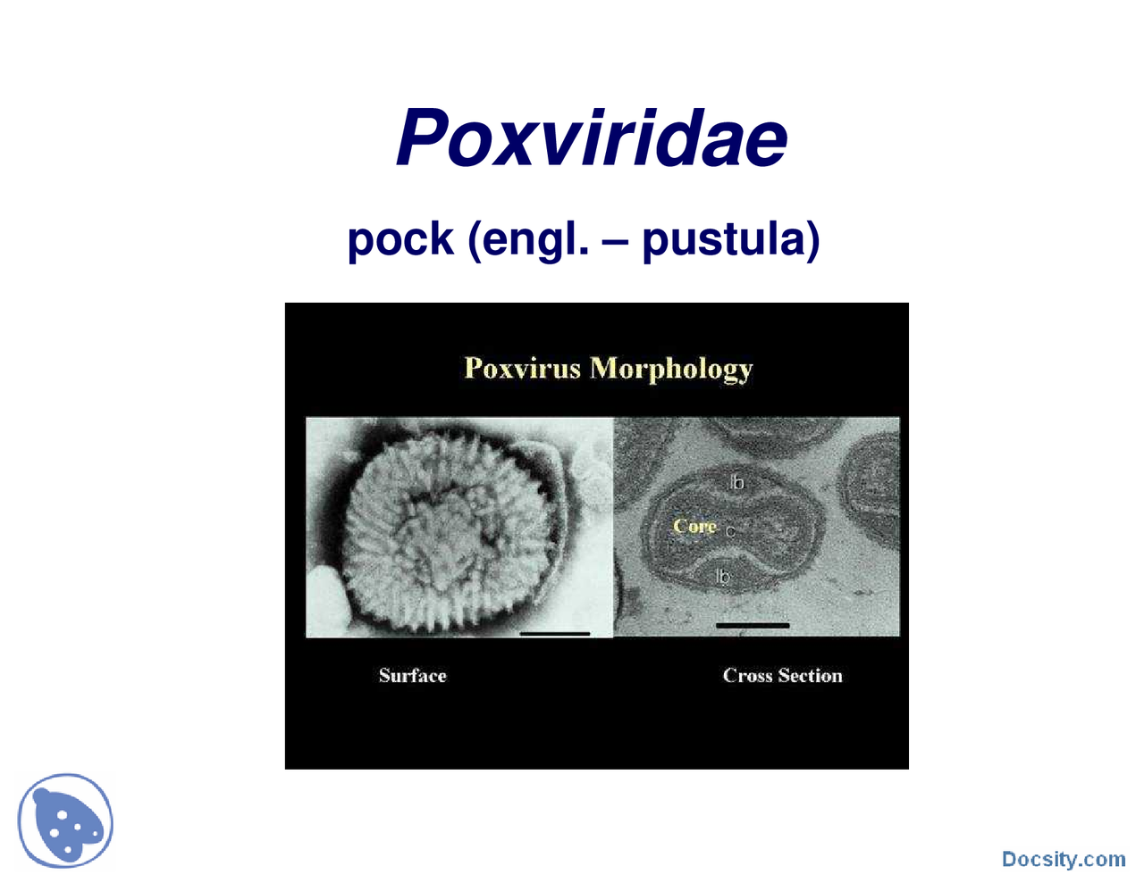 Poxviridae-Slajdovi-Farmaceutska mikrobiologija-Farmacija | Slajdovi ...