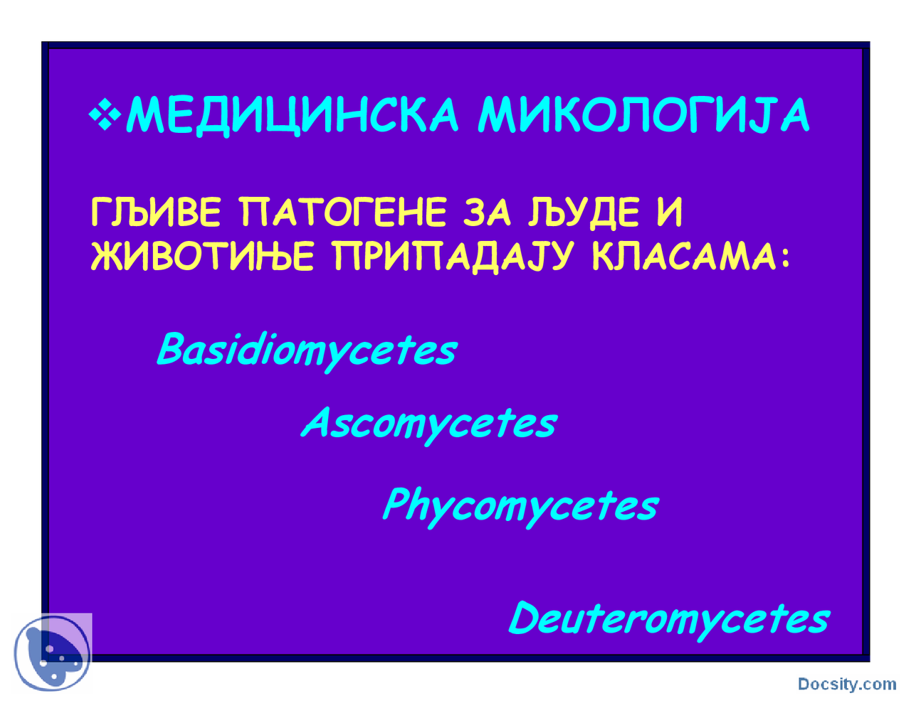 Mikologija-Slajdovi-Farmaceutska mikrobiologija-Farmacija | Slajdovi ...