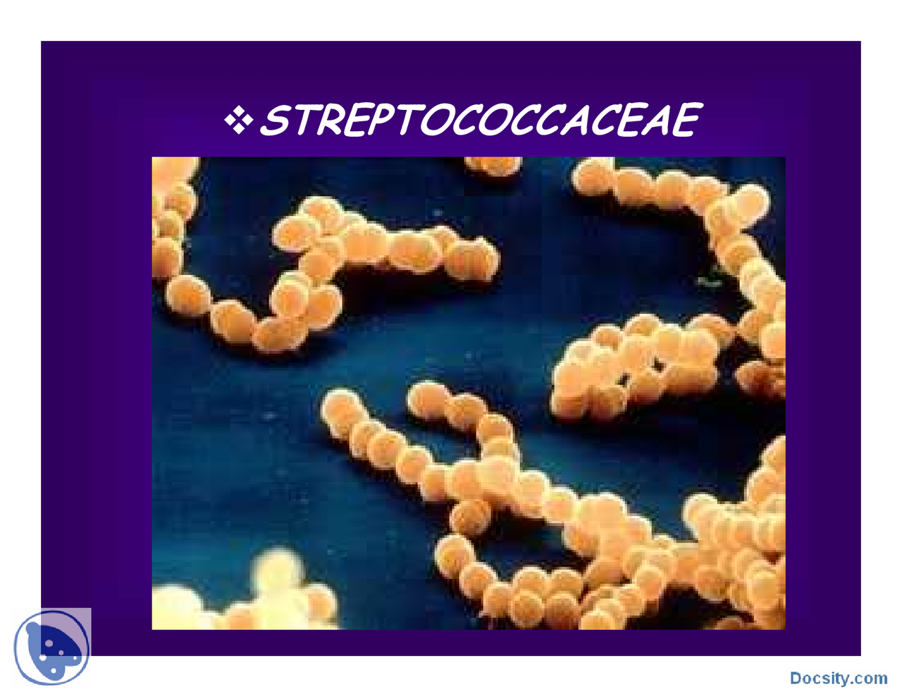 Streptokoke-Slajdovi-Farmaceutska mikrobiologija-Farmacija (2 ...
