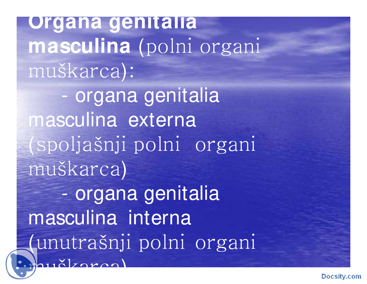Muski polni organi-Slajdovi-Anatomija-Medicina | Slajdovi od Prva pomoć ...