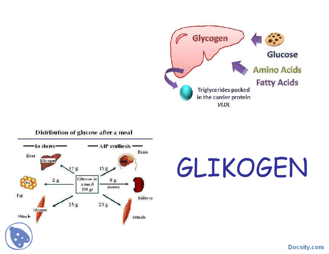 Glikogen-Slajdovi-Biohemija-Medicina | Slajdovi' predlog Prva pomoć ...