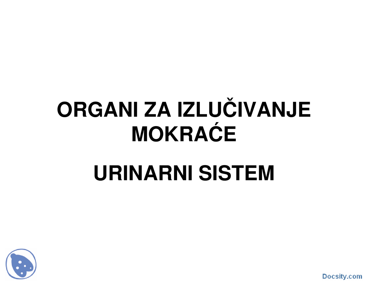 Urinarni sistem-Slajdovi-Anatomija-Medicina | Slajdovi od Prva pomoć ...
