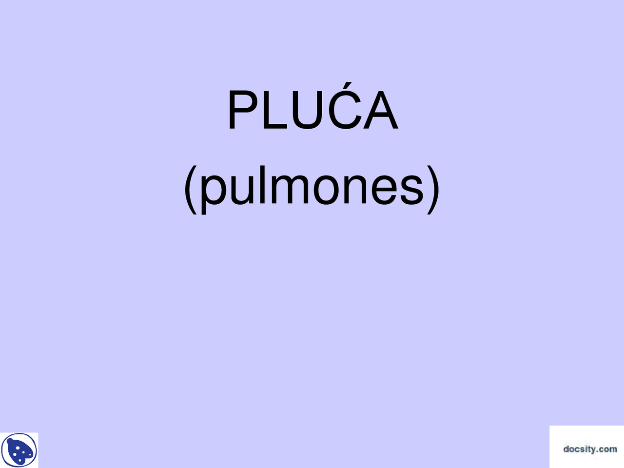 PLUCA-Slajdovi-Anatomija-Medicina | Slajdovi' predlog Prva pomoć - Docsity
