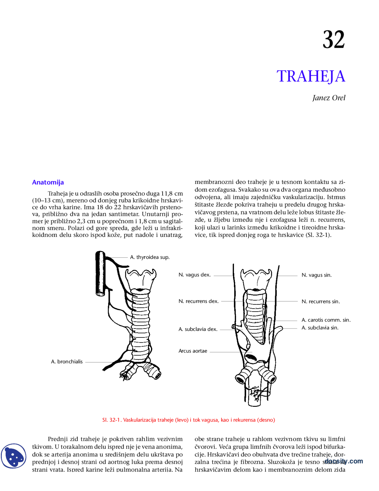 Traheja-Skripta-Hirurgija-Medicina | Rezime' predlog Hirurgija - Docsity
