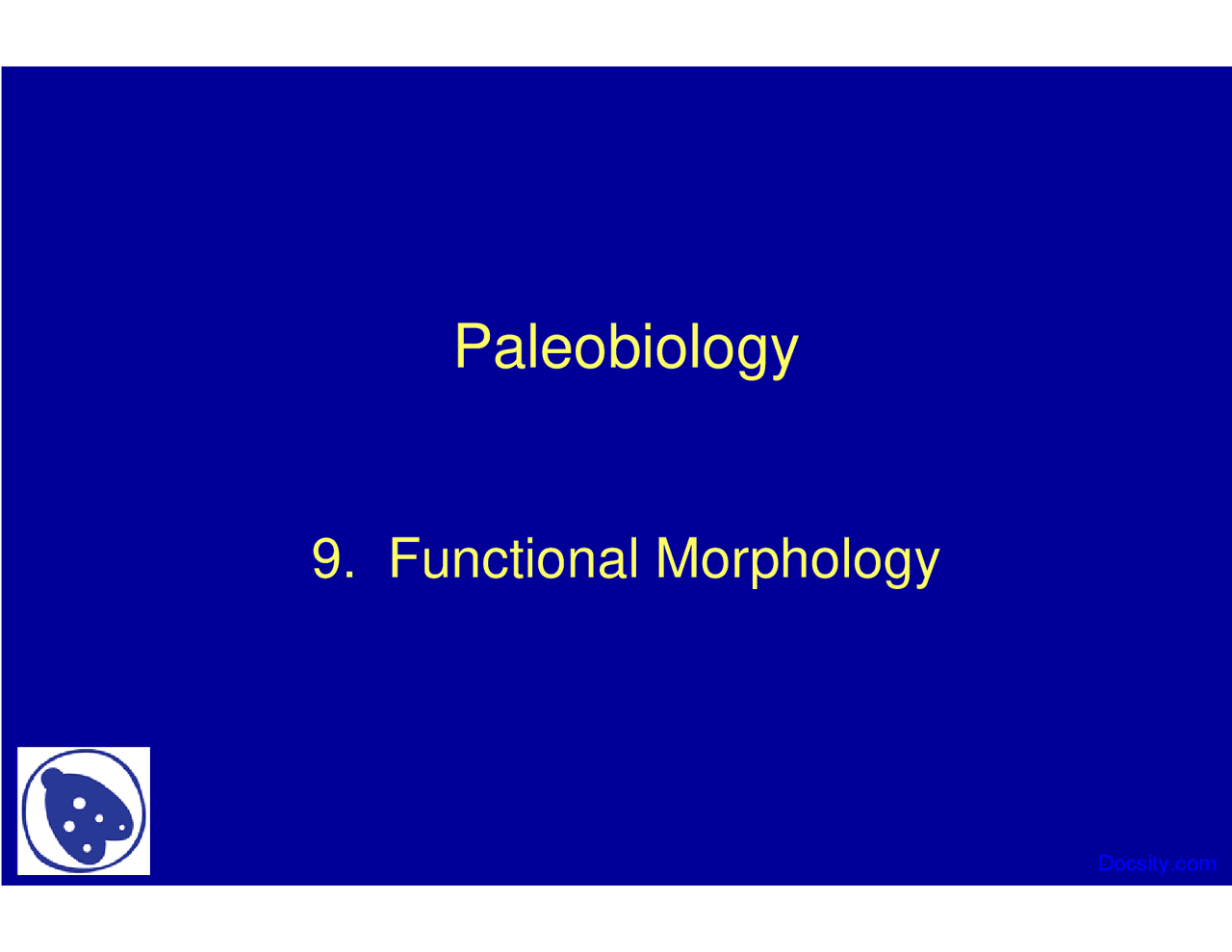 Functional Morphology Paleontology Lecture Slides Docsity