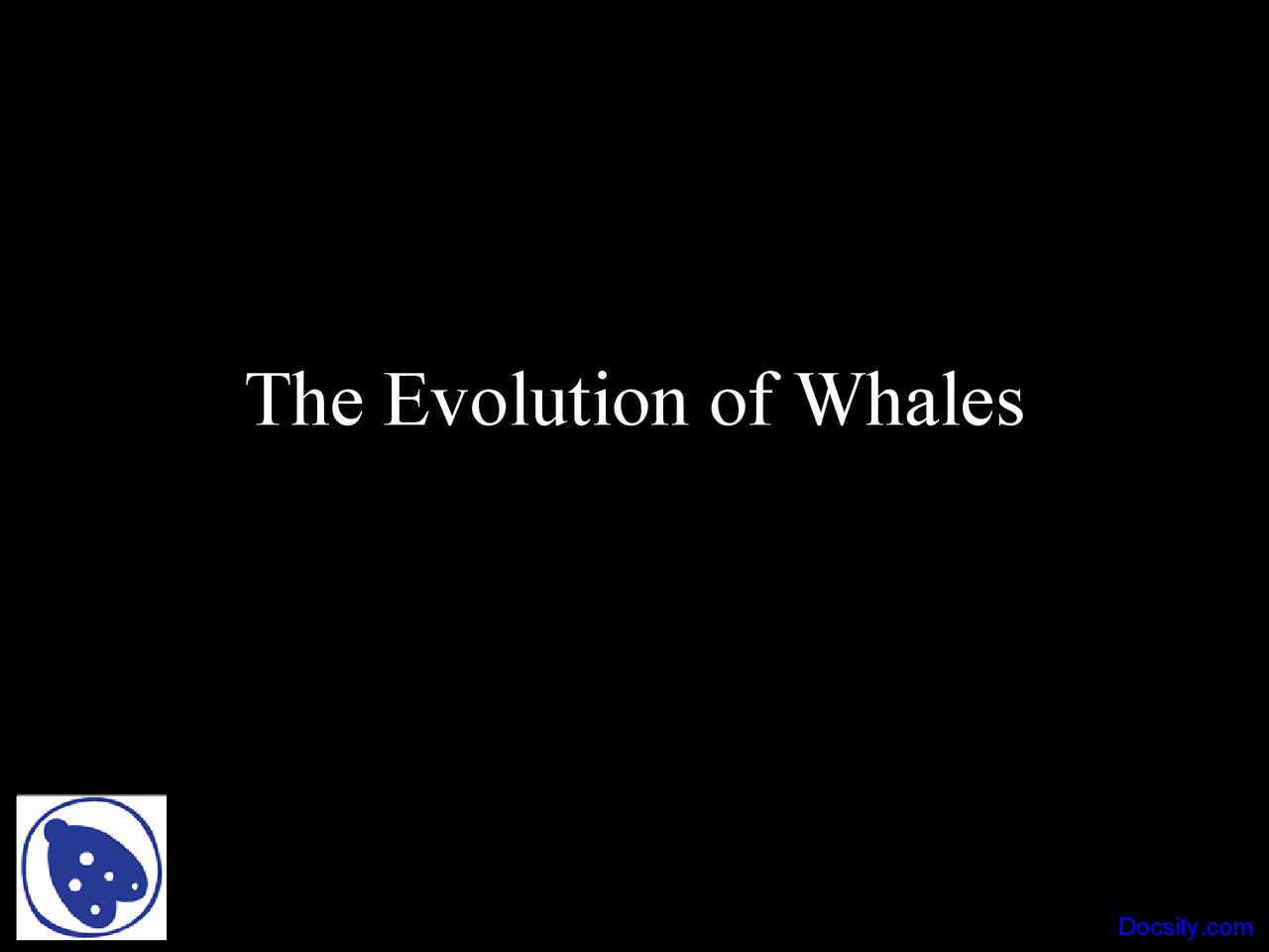 Whales Paleontology Lecture Slides Docsity