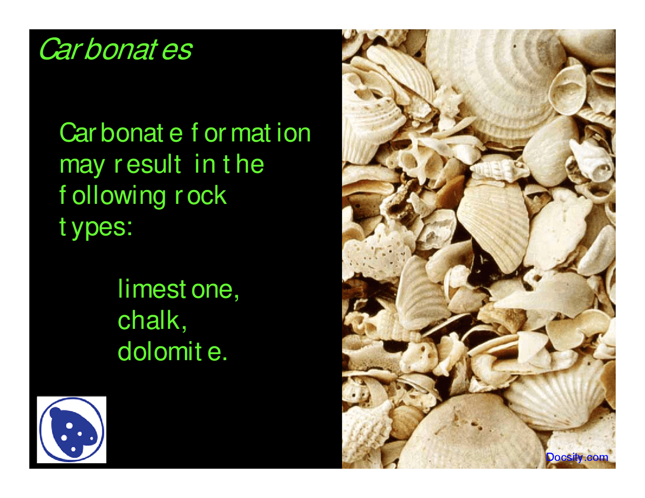Carbonates Stratigraphy Lecture Slides Docsity