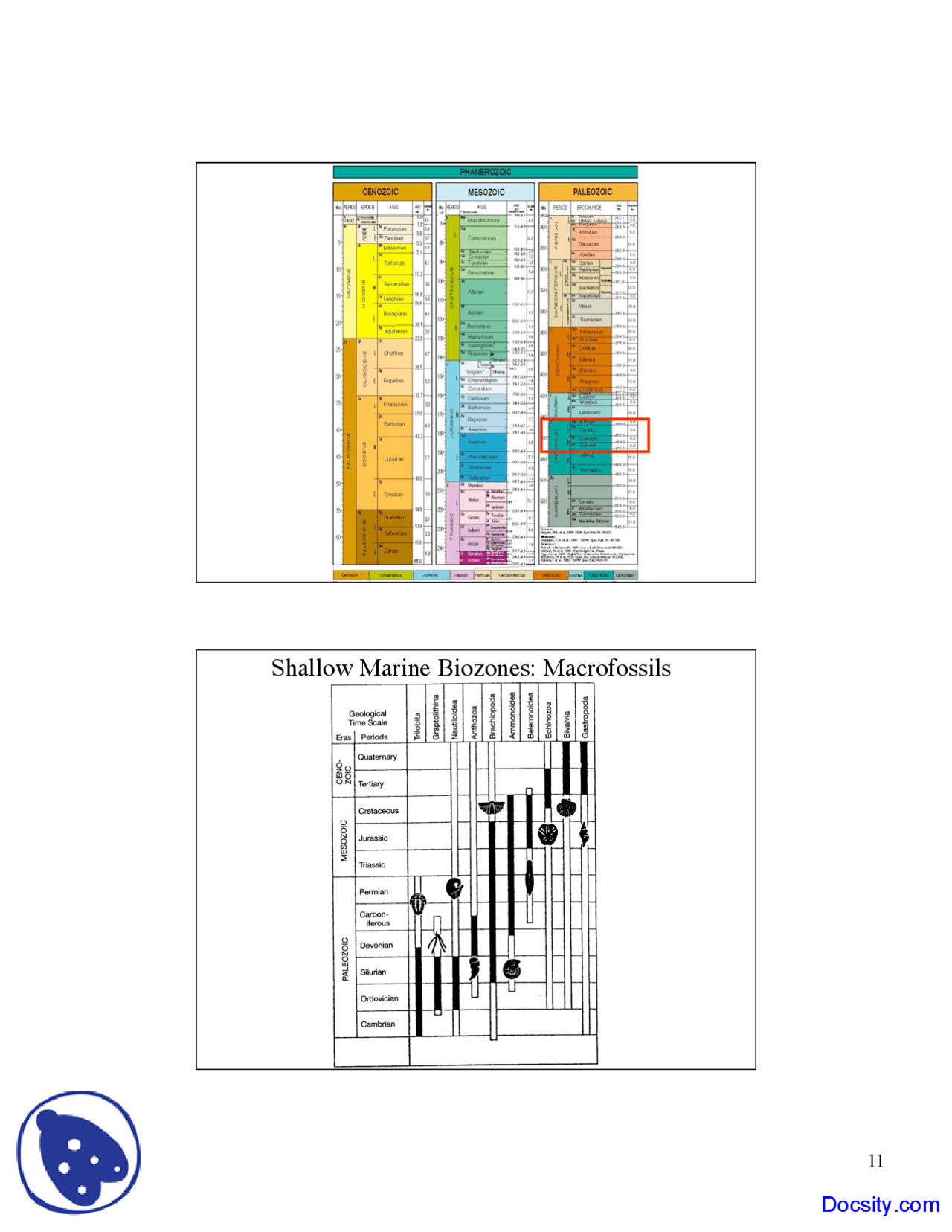 Shallow Marine Stratigraphy Lecture Slides Docsity