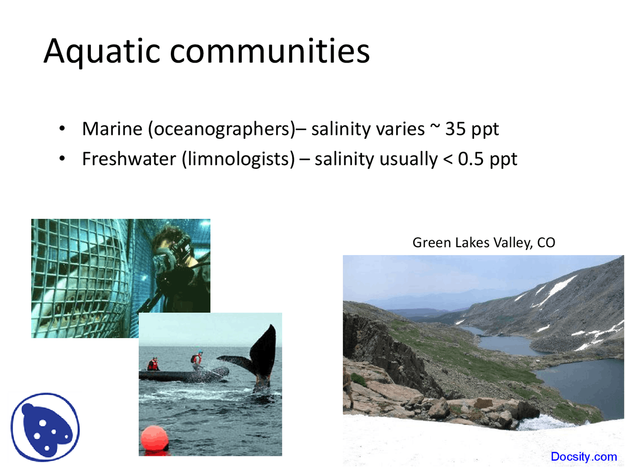 Aquatic Communities Geography Lecture Slides Docsity