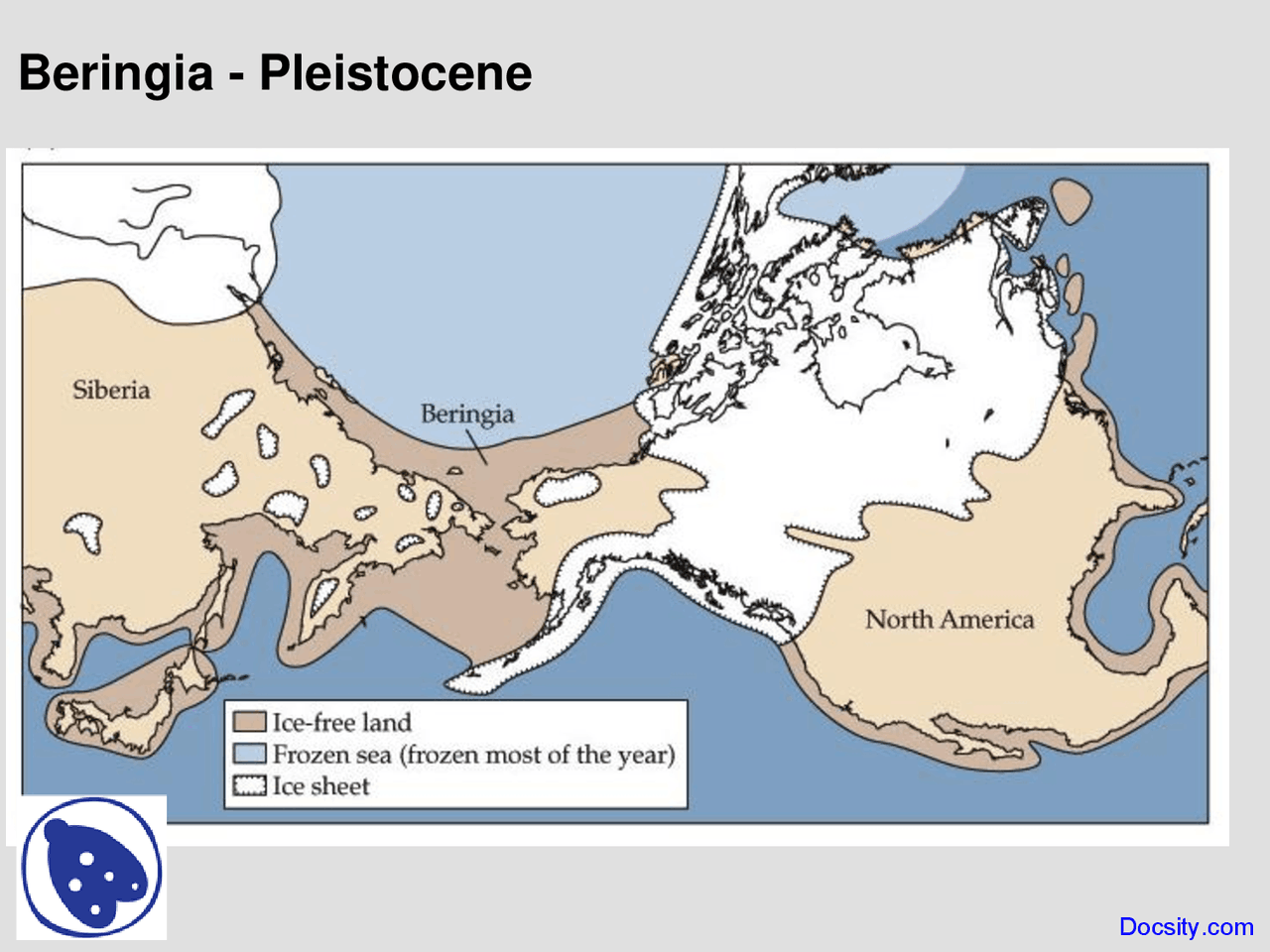 Beringia - Geography - Lecture Slides - Docsity