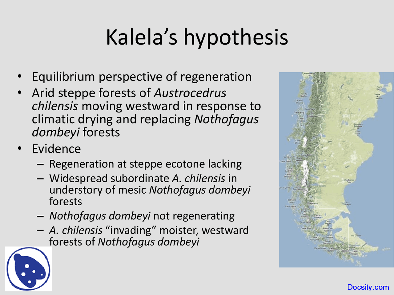 Equilibrium Perspective Geography Lecture Slides Docsity