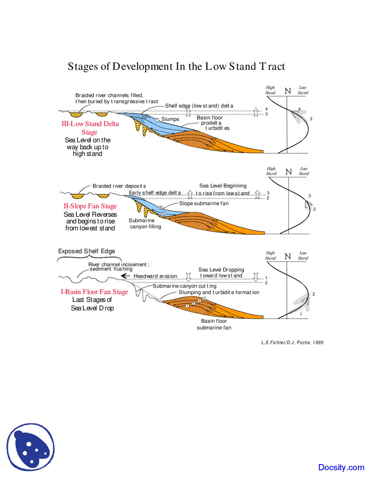 Stages Of Development Stratigraphy Lecture Slides Docsity