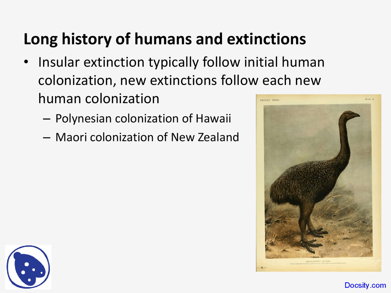 Insular Extinction - Geography - Lecture Slides - Docsity