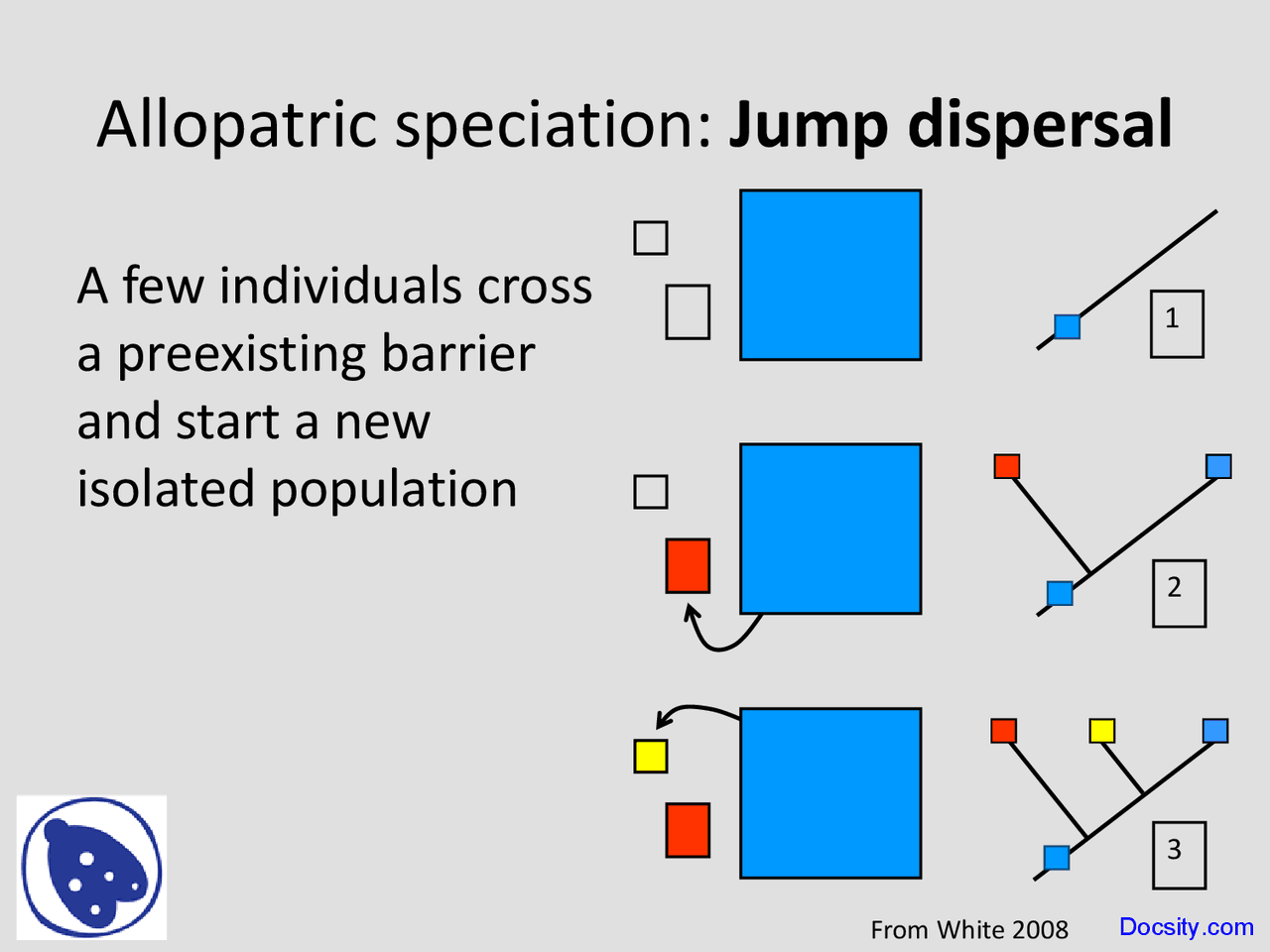Allopatric Speciation Geography Lecture Slides Docsity