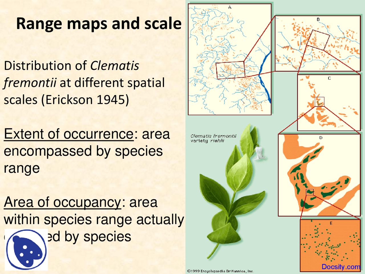 Areography - Geography - Lecture Slides - Docsity